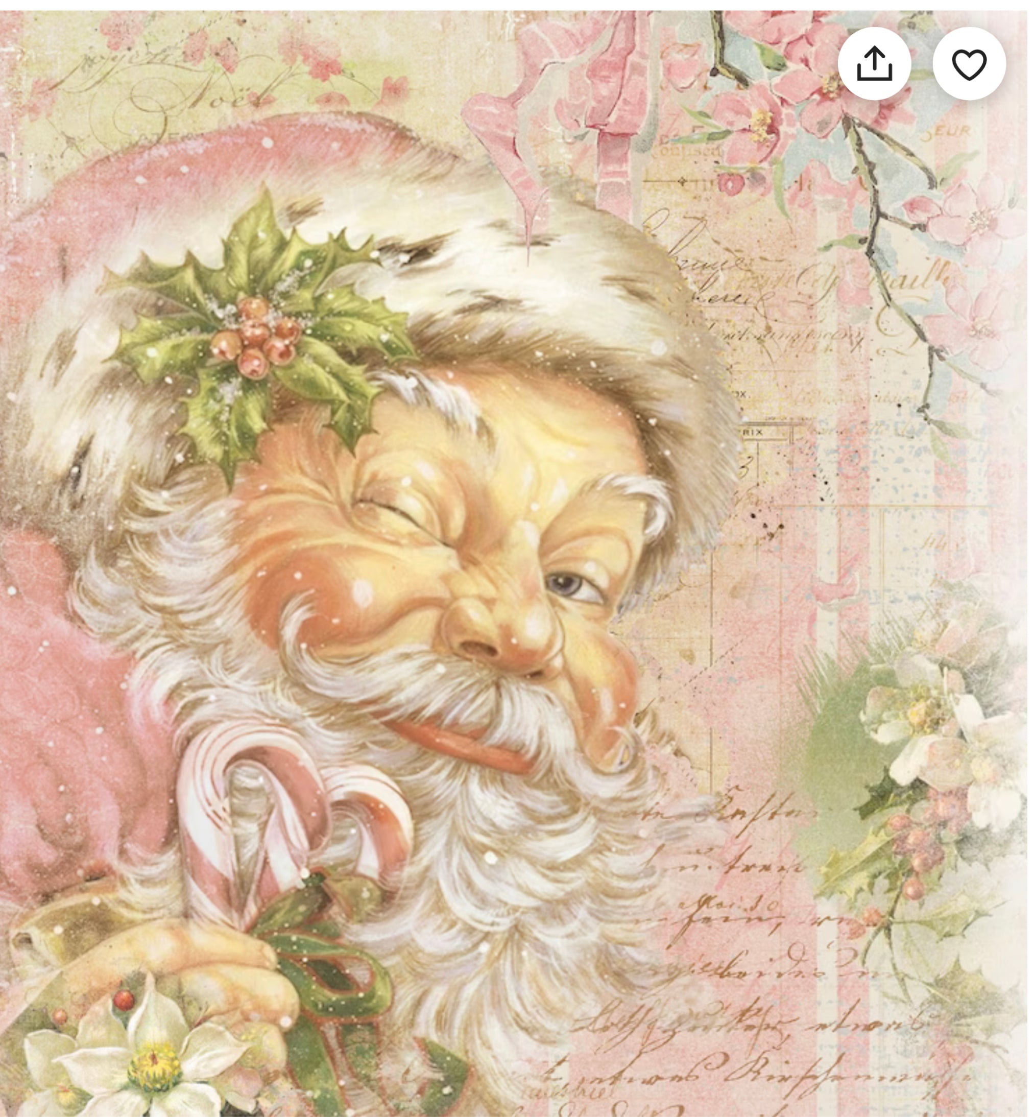 Christmas 2023 - Pink Santa – Toad Hollow